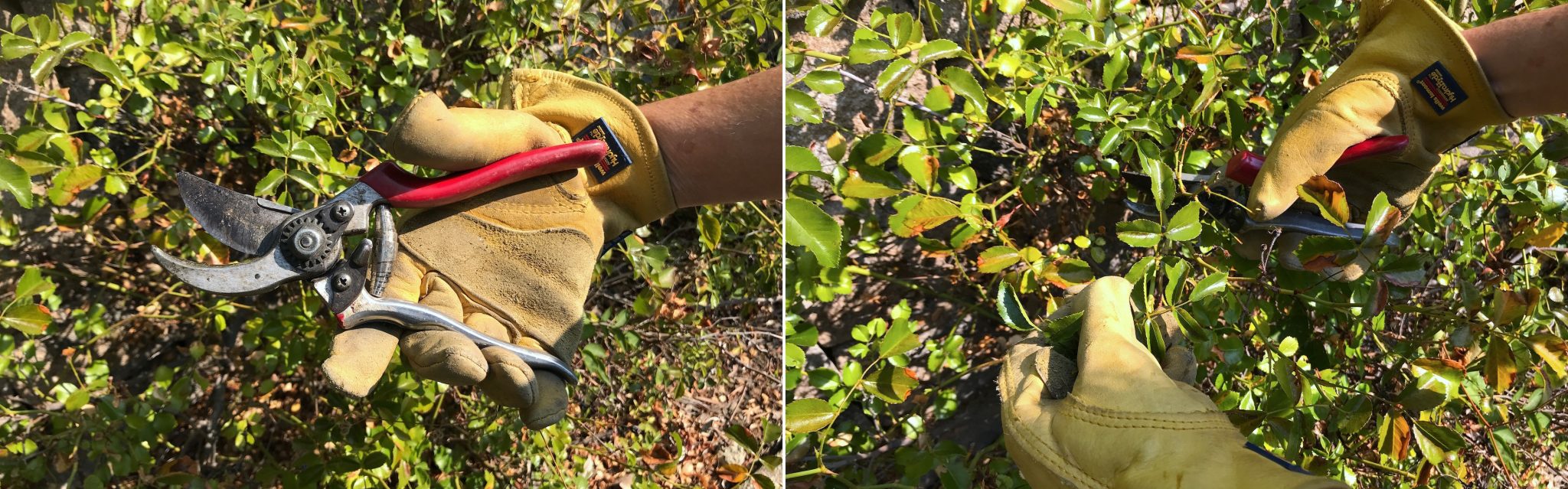 Tools for Trimming, Clearing, and Maintaining Vegetation – A Guide to ...