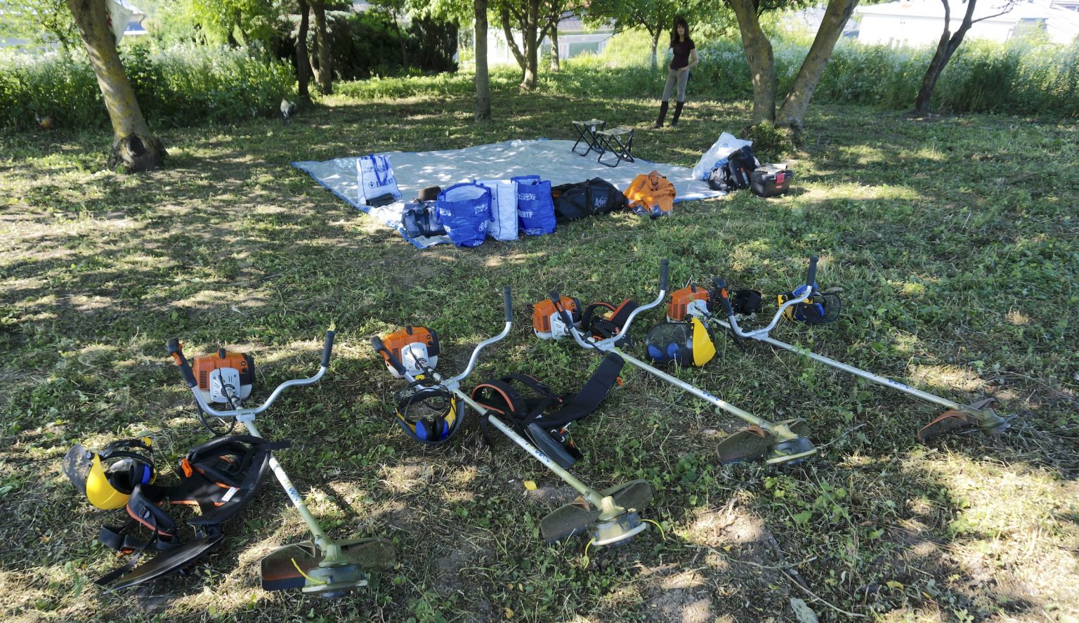 Tools for Trimming, Clearing, and Maintaining Vegetation – A Guide to ...